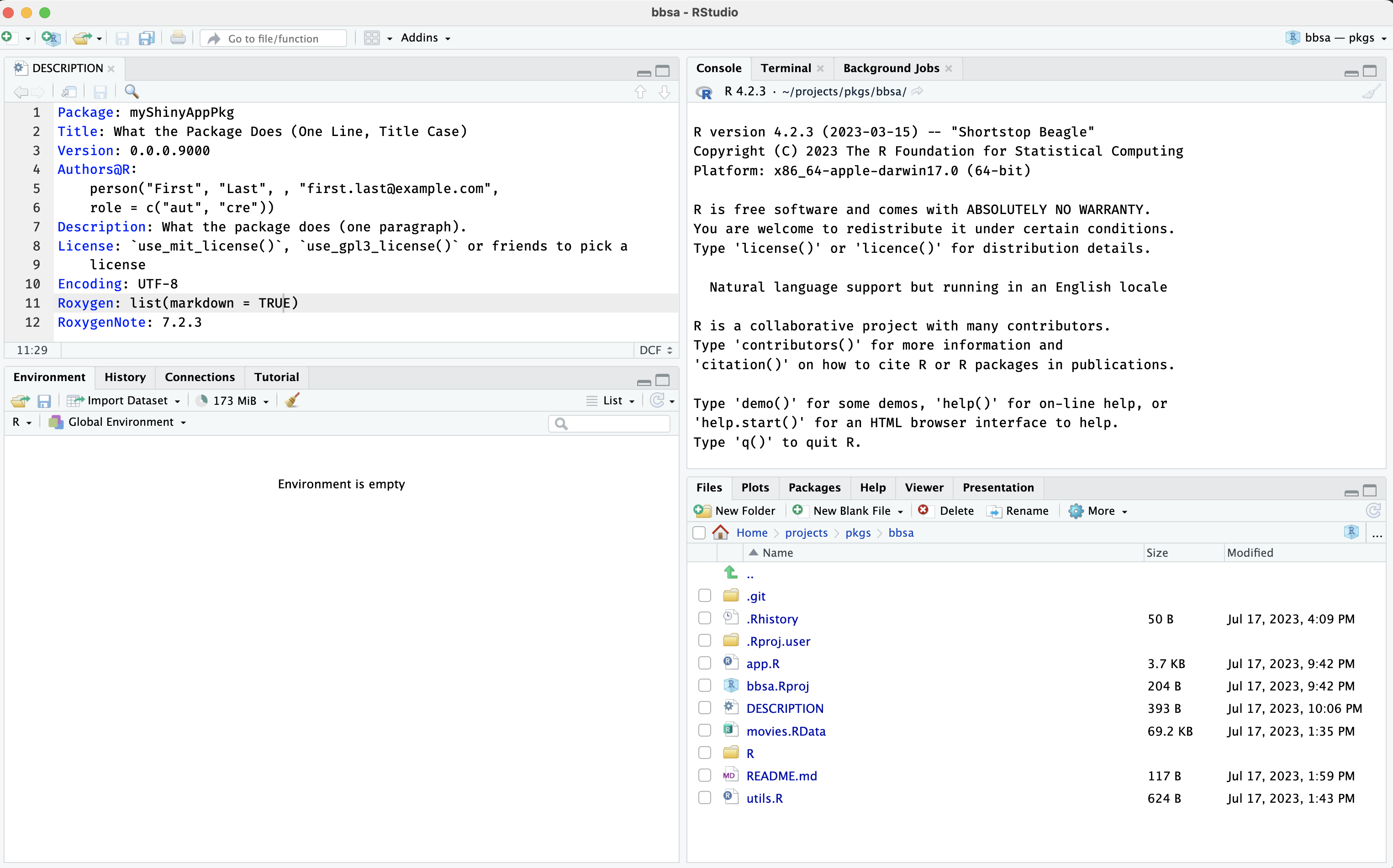 Mjfrigaard Creating A Shiny App Package